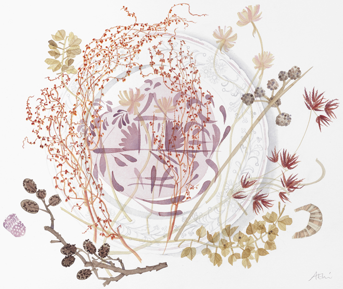 Pink Lustre Plate with Sheep's Sorrel by Angie Lewin | The Scottish Gallery