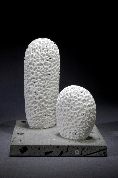 Biolith Forms by | The Scottish Gallery