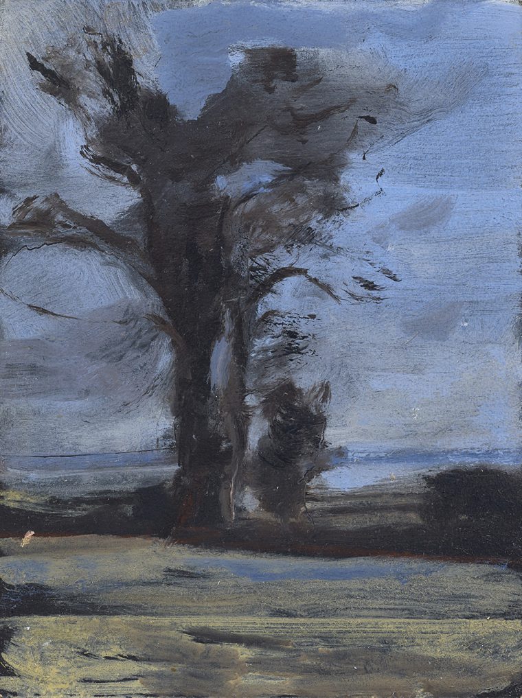 Evening Tree by Hannah Mooney | The Scottish Gallery