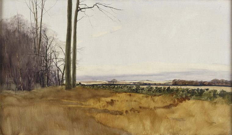 Trees at Friockheim by James Morrison | The Scottish Gallery