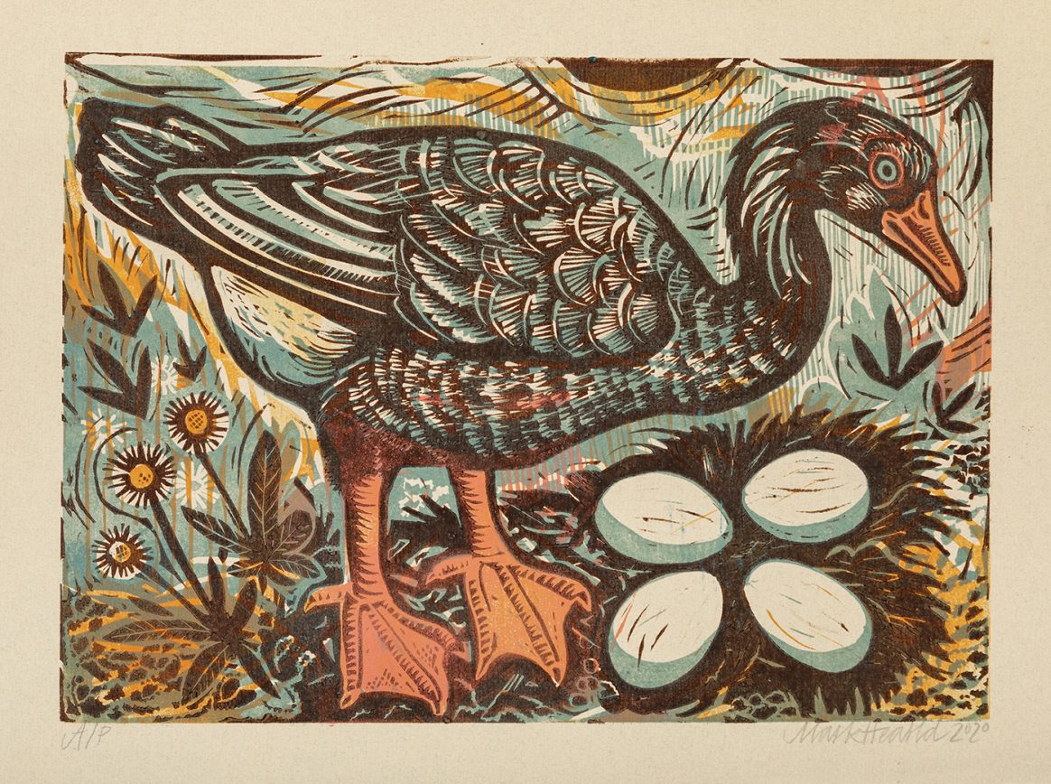 Goose - The Scottish Gallery