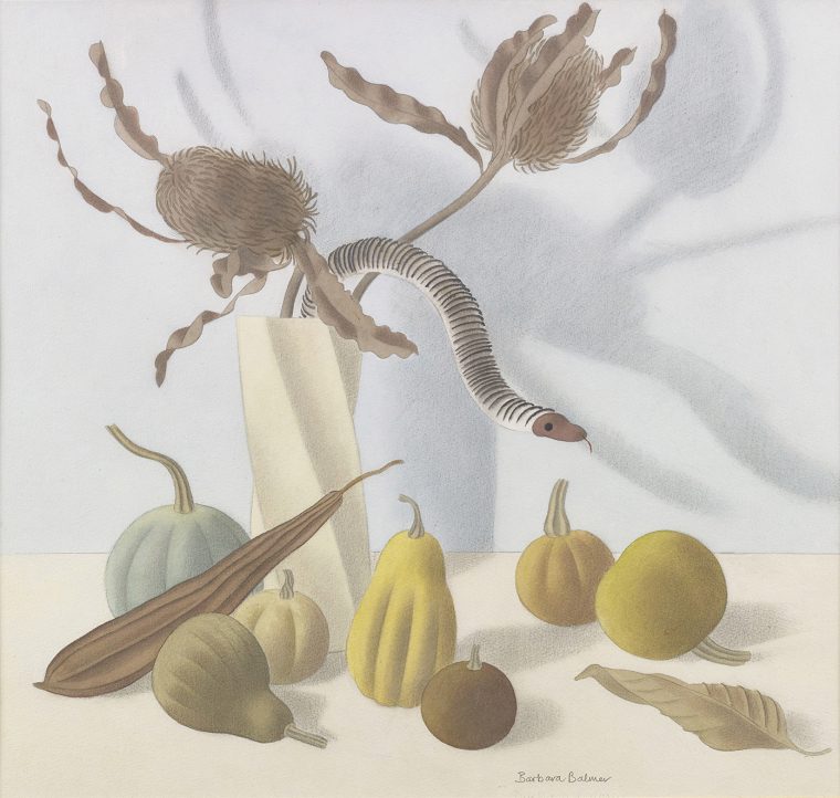 Dry Still Life by Barbara Balmer | The Scottish Gallery