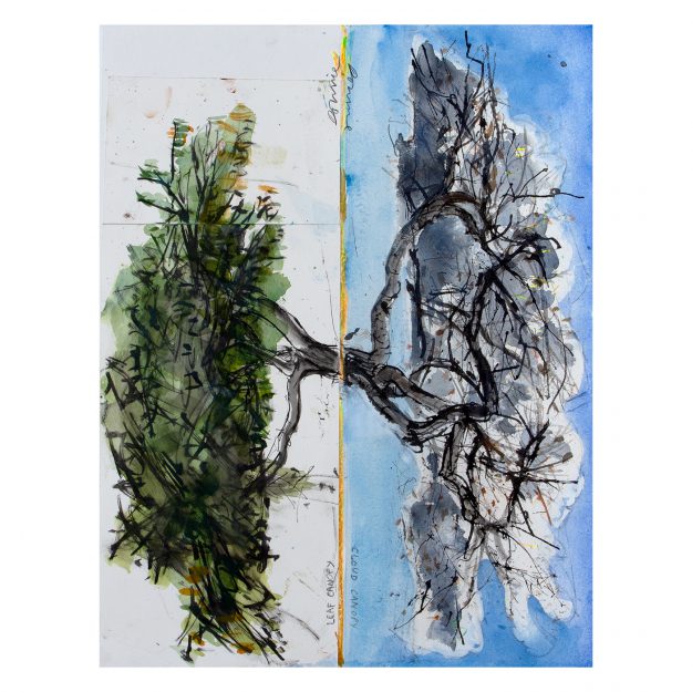 Cloud Canopy Leaf Canopy - The Scottish Gallery