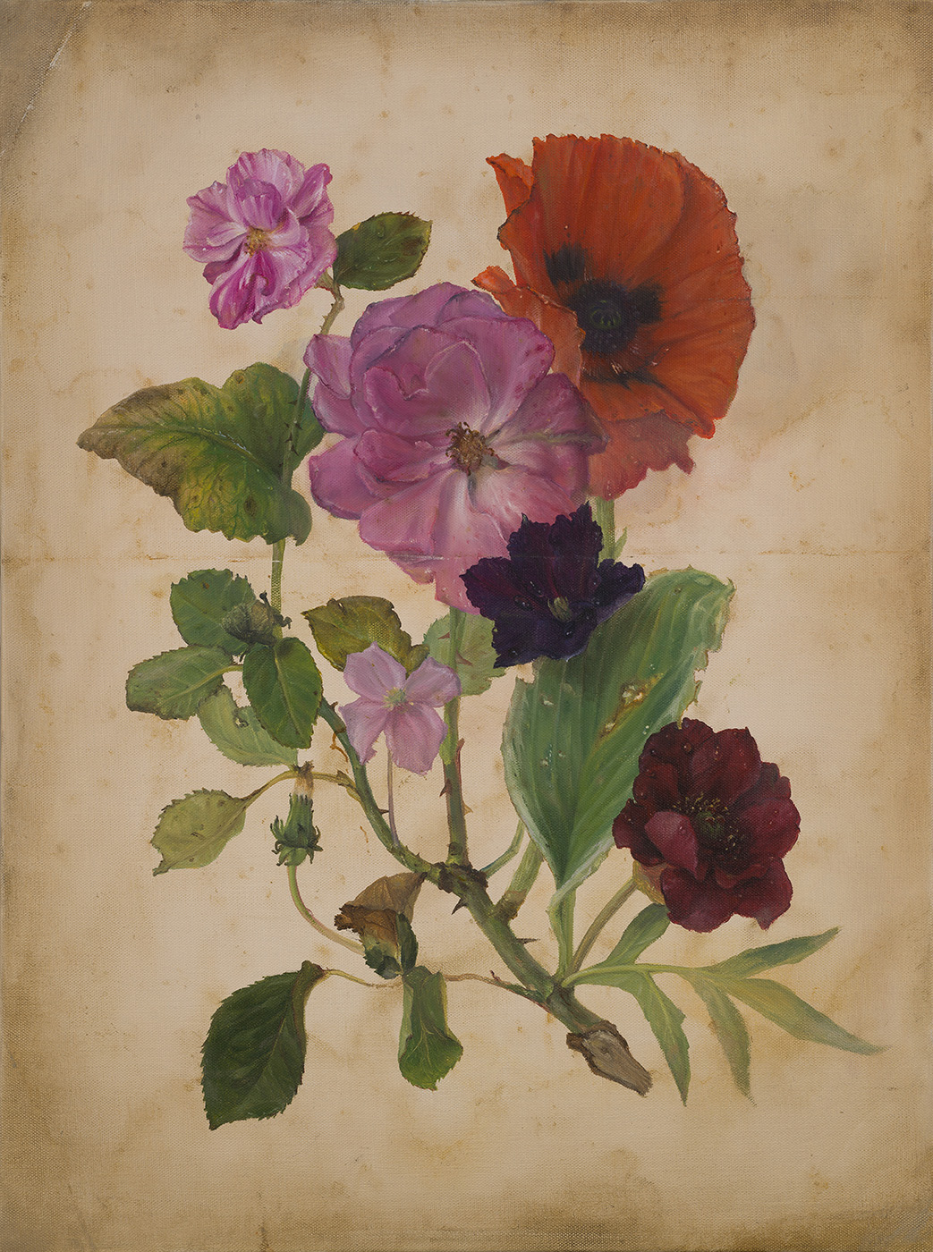 After Eden No. 4 by Derrick Guild | The Scottish Gallery