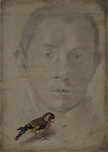 Natural History - The Scottish Gallery