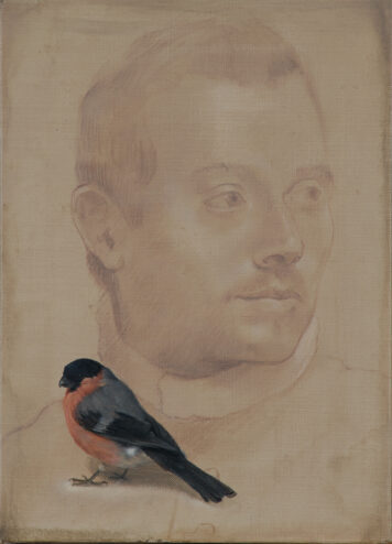 Natural History - The Scottish Gallery