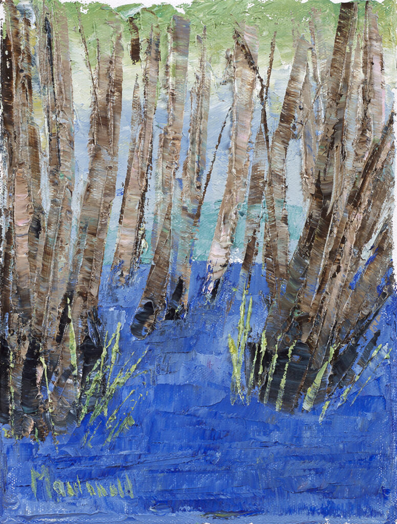 Little Birch Trees and a Glimpse of Bluebells by Frances Macdonald ...