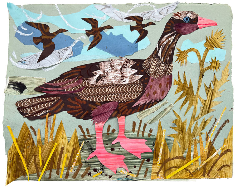 Pink Footed Goose by Mark Hearld | The Scottish Gallery