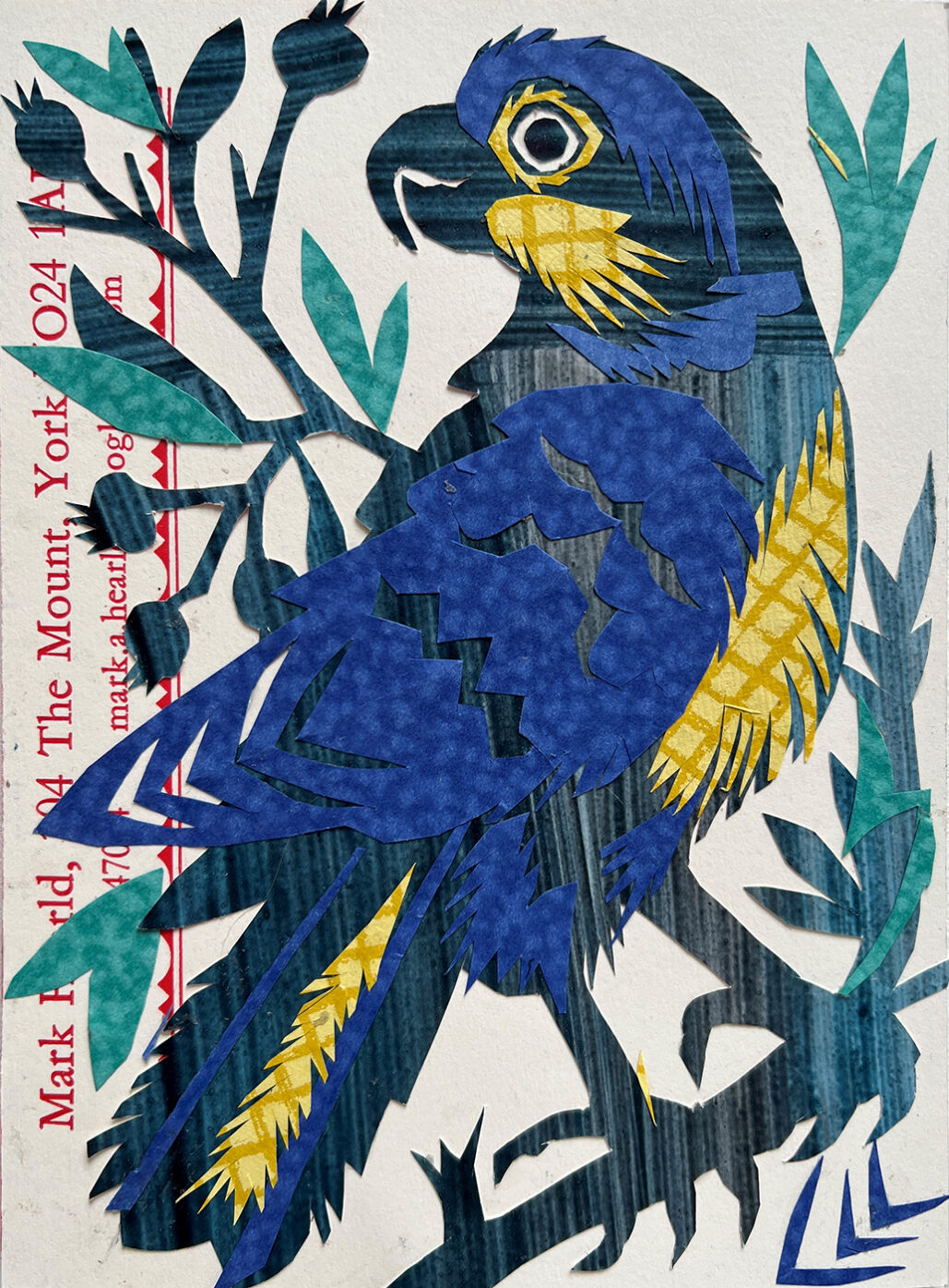 Lisbon Parrot by Mark Hearld | The Scottish Gallery