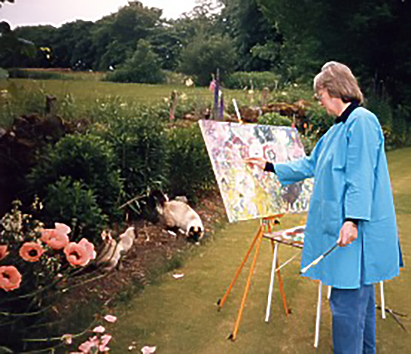 Thora Clyne at The Scottish Gallery