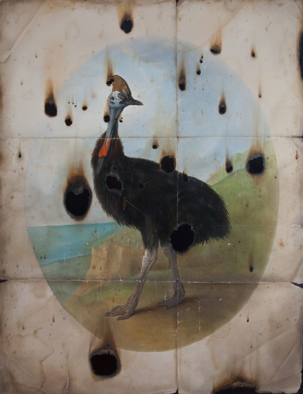 Burnt Cassowary, After Oudry by Derrick Guild | The Scottish Gallery