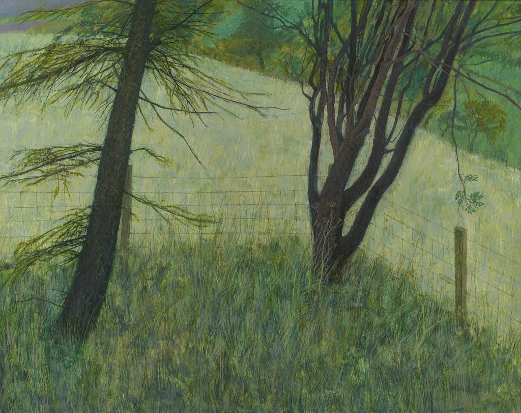 Corner of the Garden (Summer, Kittleyknowe) by Victoria Crowe | The ...