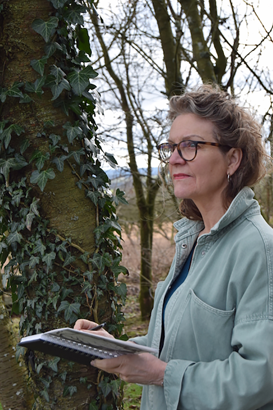 Sheila Anderson Hardy | Studio Insights - The Scottish Gallery