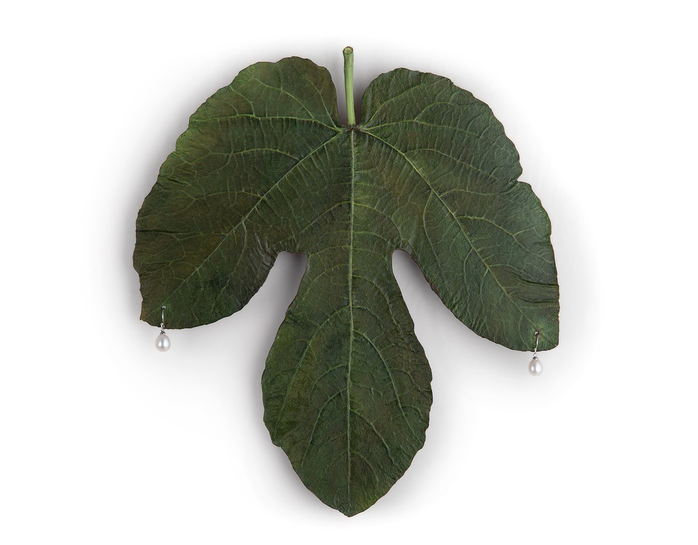 Charm - The Scottish Gallery