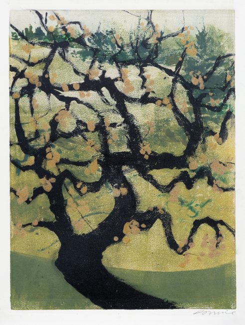 Kate Downie - The Scottish Gallery