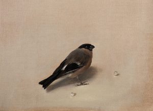 Exhibitions Archive - The Scottish Gallery