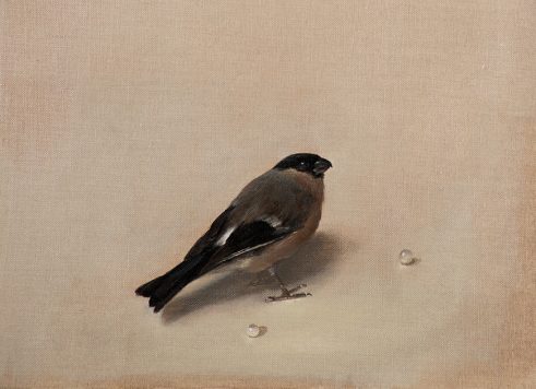 Exhibitions Archive - The Scottish Gallery