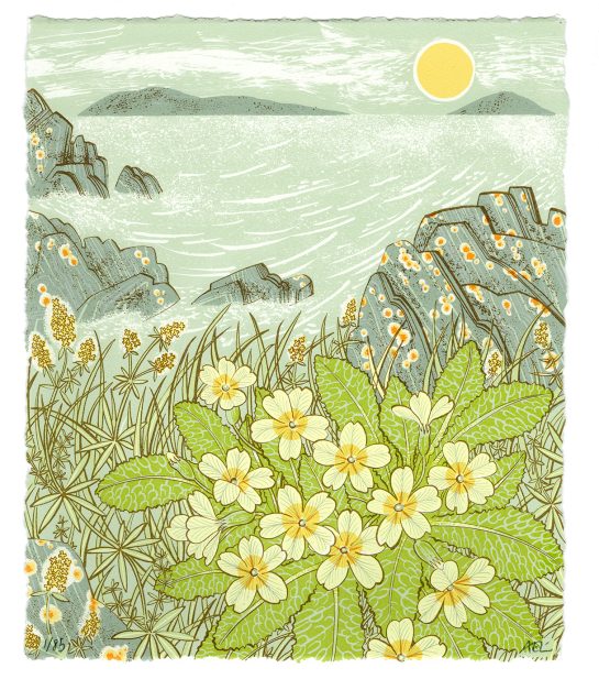 Island Primrose by Angie Lewin (Printmaker) | The Scottish Gallery
