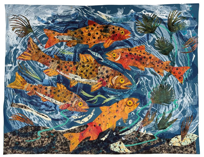 Brown Trout by Mark Hearld | The Scottish Gallery