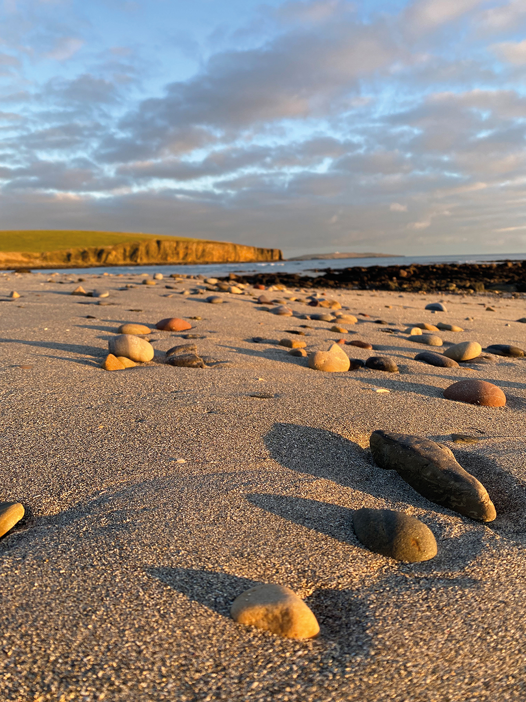 Newark Bay, Orkney by Grace Girvan | The Scottish Gallery