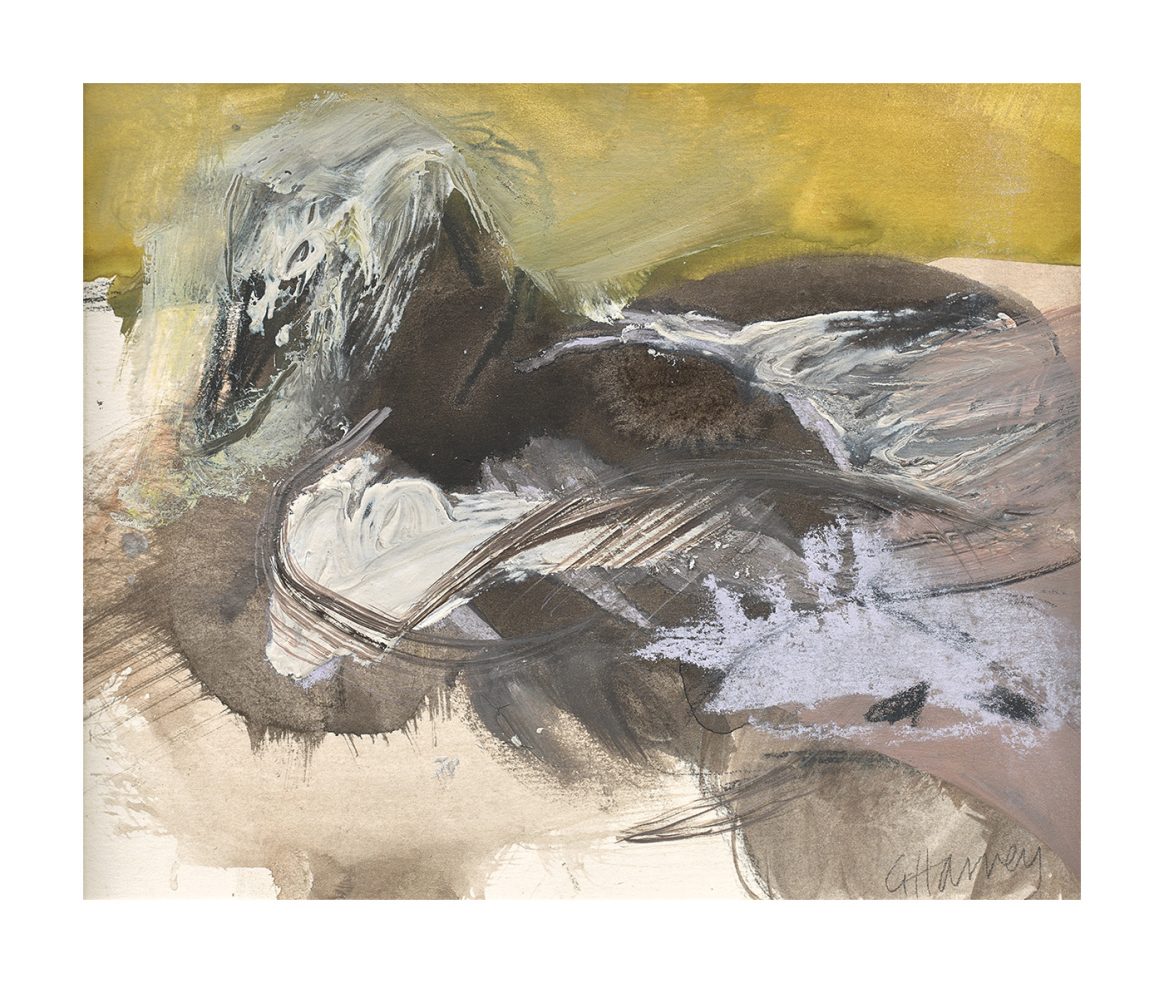 Splashing Duck by gail harvey | The Scottish Gallery