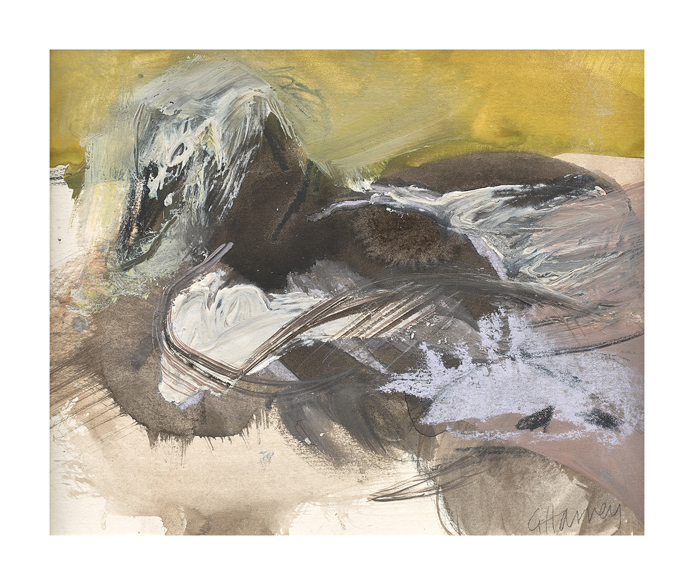 Splashing Duck by gail harvey | The Scottish Gallery