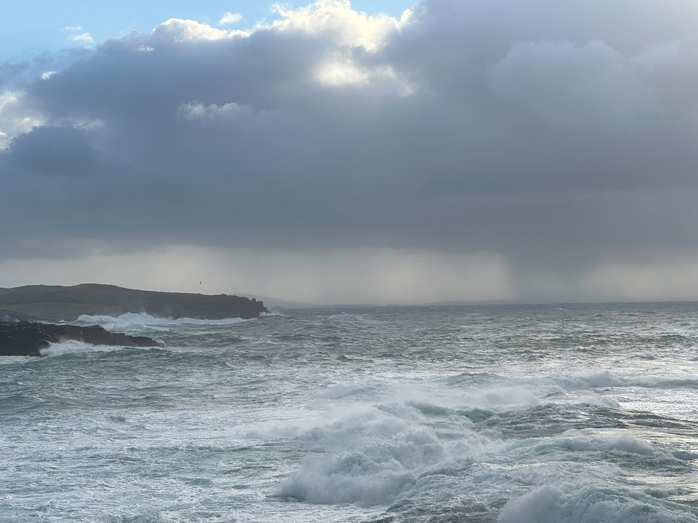Peter Davis I by Peter Davis | The Scottish Gallery